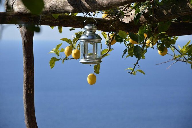 Amalfi Ravello Positano Tour - Key Points