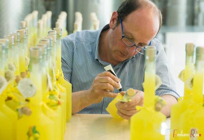 Amalfi: Vertical Lemon Farm Tour, Tastings, and Rural Museum - Key Points