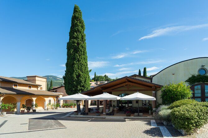 Amarone 2005 Wine Experience - Who Will Love This Tour?