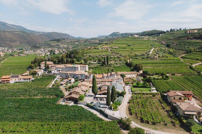 Amarone 2005 Wine Experience - Practical Tips for Visitors