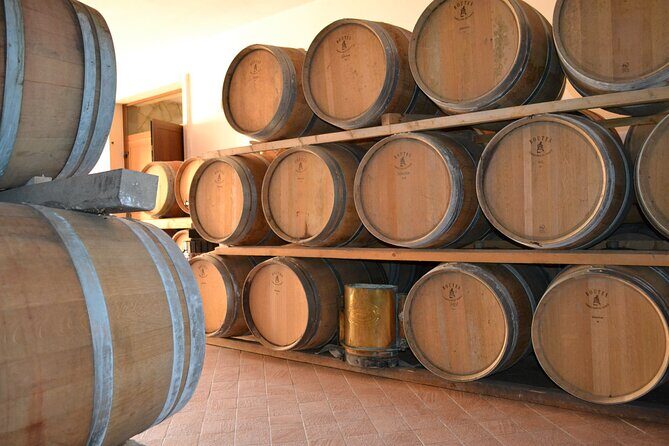 Amarone Della Valpolicella Wine Experience - Meet the Vogadori Family - What to Expect from the Amarone Della Valpolicella Experience