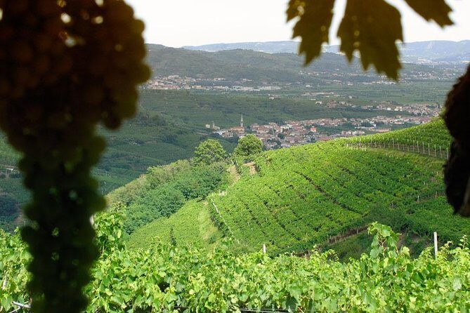 Amarone & Soave Wine Tour with Sommelier  Visit Verona - Key Points