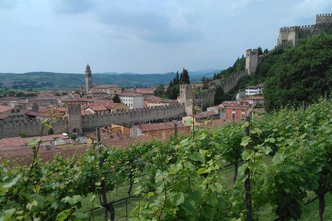 Amarone & Soave Wine Tour with Sommelier  Visit Verona - Who Will Love This Tour?