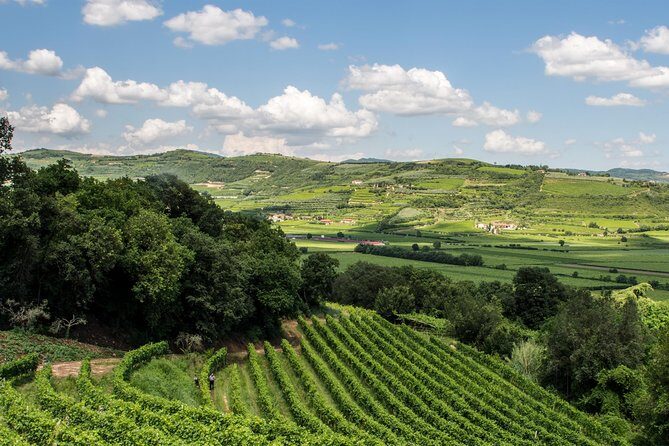 Amarone & Soave Wine Tour with Sommelier  Visit Verona - Practical Tips for Booking & Participation
