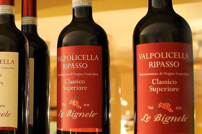 Amarone & Soave Wine Tour with Sommelier  Visit Verona - Final Thoughts: Is It Worth It?