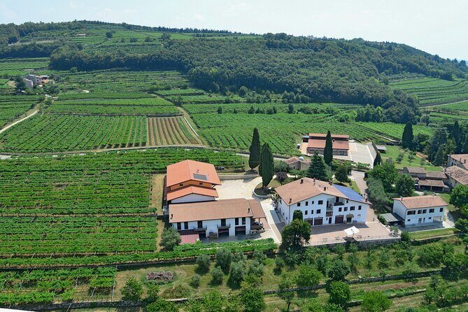Amarone-Valpolicella tour. Visit Verona. From Venice - FAQ