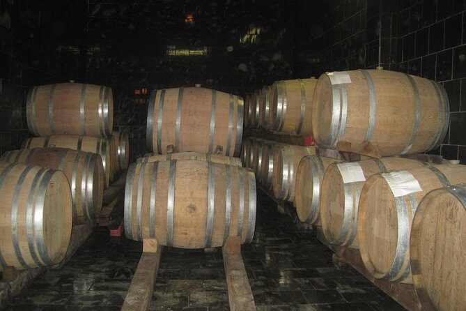 Amarone Wine Tour (all-inclusive full day with lunch and expert wine guide) - Who Will Love This Experience?