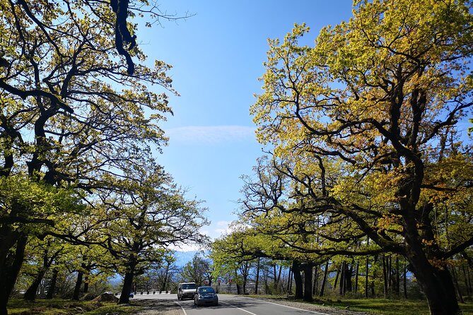 Amazing All inclusive Tour for 7 Days From Tbilisi - FAQs