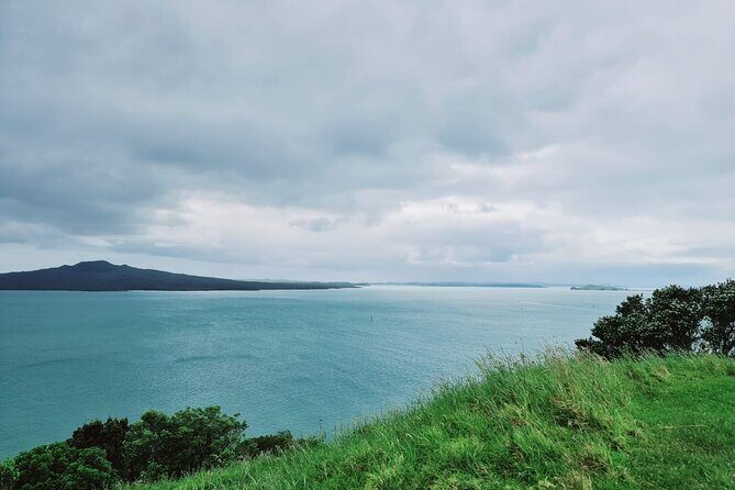 Amazing Auckland City Half Day Guided Tour - Potential Drawbacks and Considerations