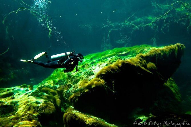 Amazing beginner dive in Tulum cenote (or refresher dive) - Perfect For Who?