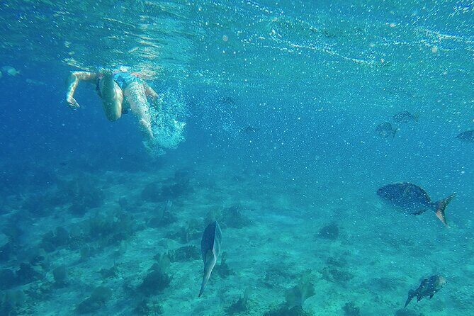 Amazing Catamaran Party + Beach Club - Only Adults from Cancún - The Sum Up