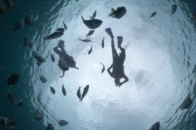 Amazing Clear Boat Adventure and Unlimited Beach Break with Lunch - The Sum Up