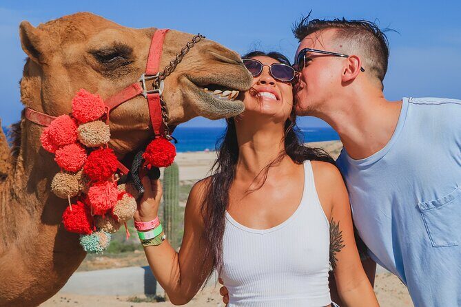 Amazing Combo Adventure in Los Cabos México - What to Keep in Mind: Practical Considerations