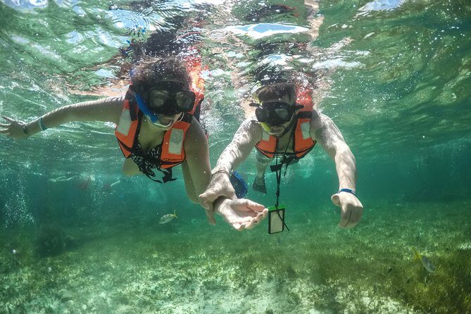 amazing day in catamaran and Isla Mujeres - Practical Details and Tips