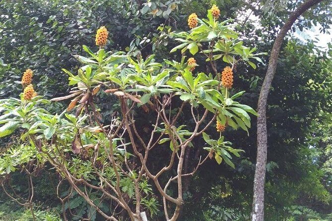 Amazing East Tour - A Deep Dive Into the Itinerary