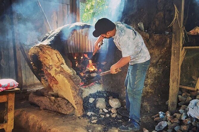 Amazing experience in the mountain of San Jose del Pacifico - A Closer Look at the Tour Experience