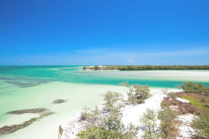 Amazing HOLBOX Full day tour and Cenote swim experience from Cancun! - Final Thoughts  