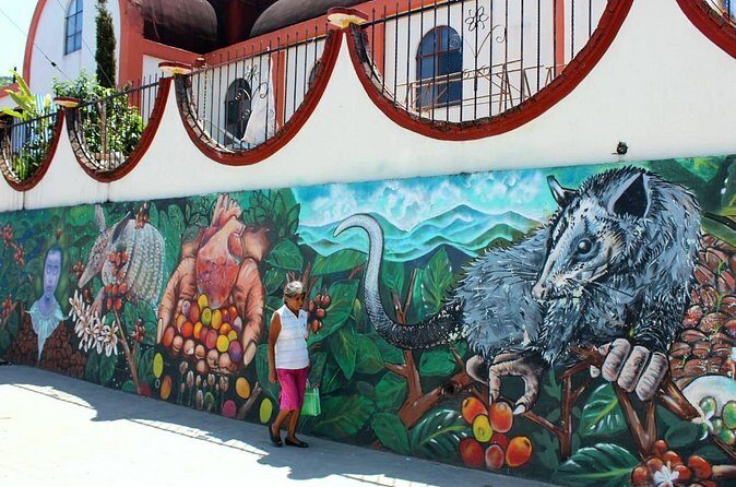 Amazing Mountain Coffee Private Experience - Who Will Love This Experience?