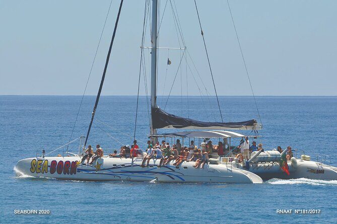 Amazing Skywalk, Wine Tasting & 4x4 Adventure + Dolphin Watching - Key Points