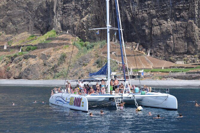 Amazing Skywalk, Wine Tasting & 4x4 Adventure + Dolphin Watching - Exploring the Itinerary in Detail