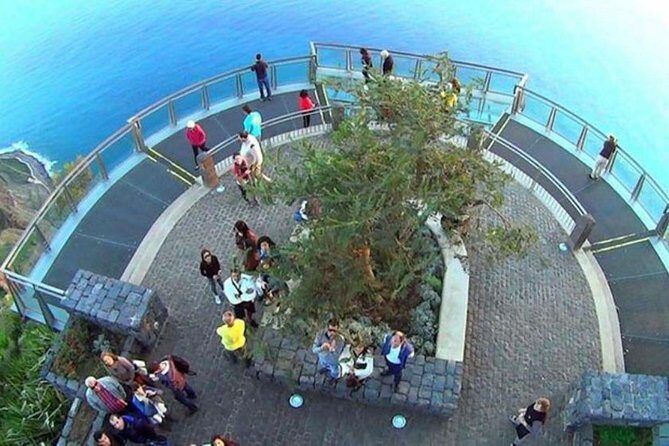 Amazing Skywalk, Wine Tasting & 4x4 Adventure + Dolphin Watching - The Sum Up: The Perfect Madeira Mix for Adventure & Authenticity