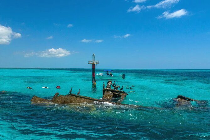 Amazing Snorkel Adventure! Round Transportation From Cancun - Key Points