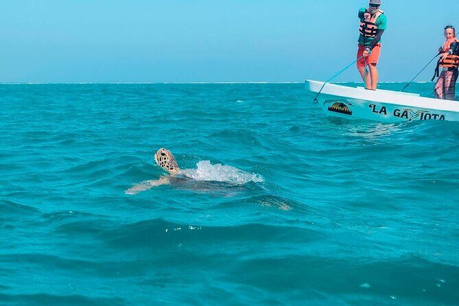 Amazing Tour in Sian Kaan biosphere with Transportation from Cancún! - The Value of This Experience