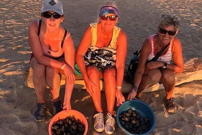 Amazing Turtle Release Tour - Authentic Insights from Reviewers