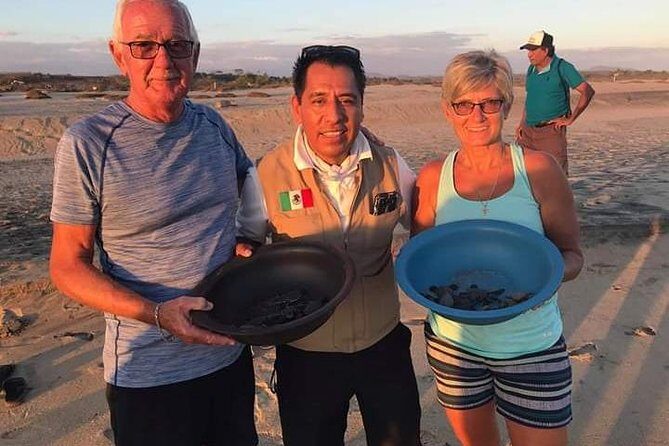 Amazing Turtle Release Tour - FAQ