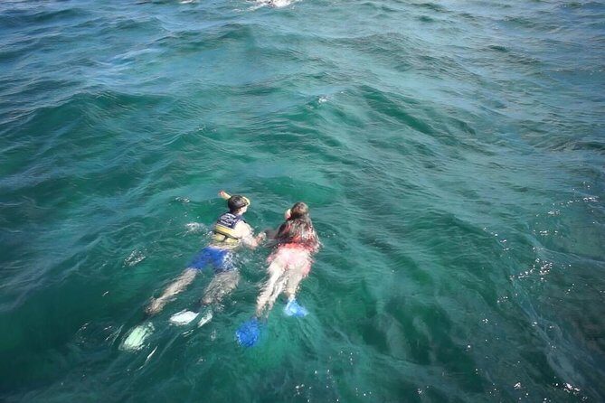 Amazing Unlimited Boat Trip to Isla Mujeres + Transportation from Cancún - Key Points