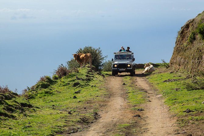 Amazing West - Jeep Safari Tour - Full Day - Shared Tour - Exploring Madeira’s West Coast on the Jeep Safari