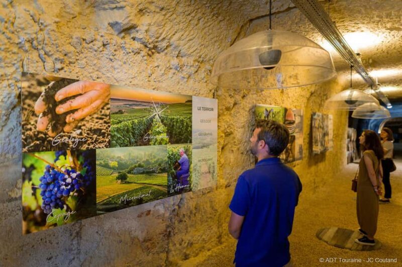 Amboise: Caves Ambacia Visit and Wine Tasting - Cost and Value