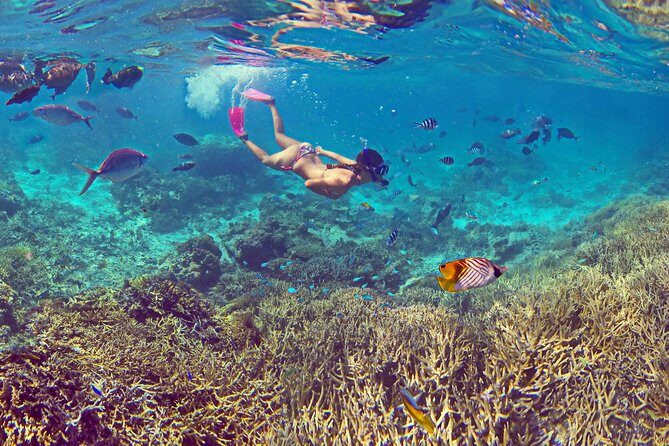 Amedee Lighthouse - Transportation & Logistics