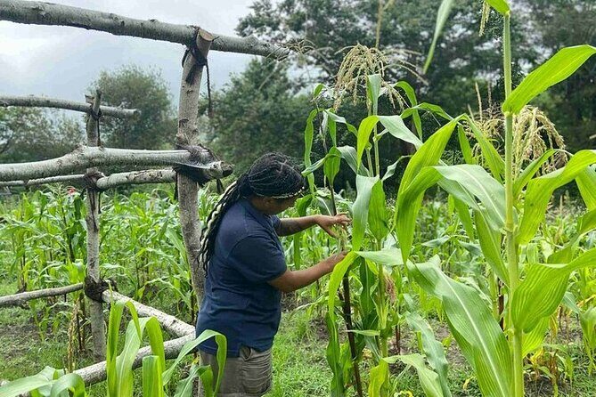 America's Home Town Plymouth Private Tour - Frequently Asked Questions