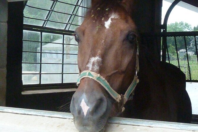 Amish Experience Visit-In-Person Tour - Exploring Amish Cottage Industries: Small Businesses with a Personal Touch
