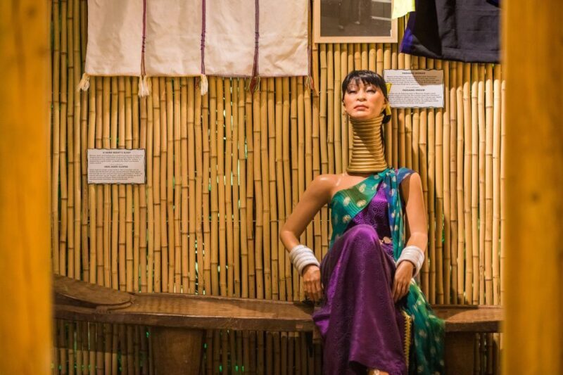 Amsterdam 1-Hour Canal Cruise and Ripleys Believe it or Not - Introduction