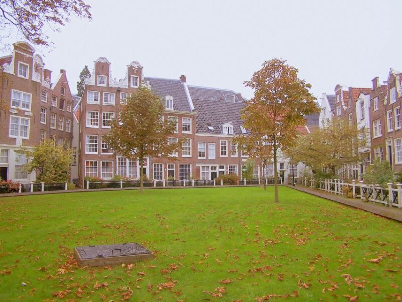 Amsterdam 1-Hour Rickshaw Tour - Exploring the Tour in Depth