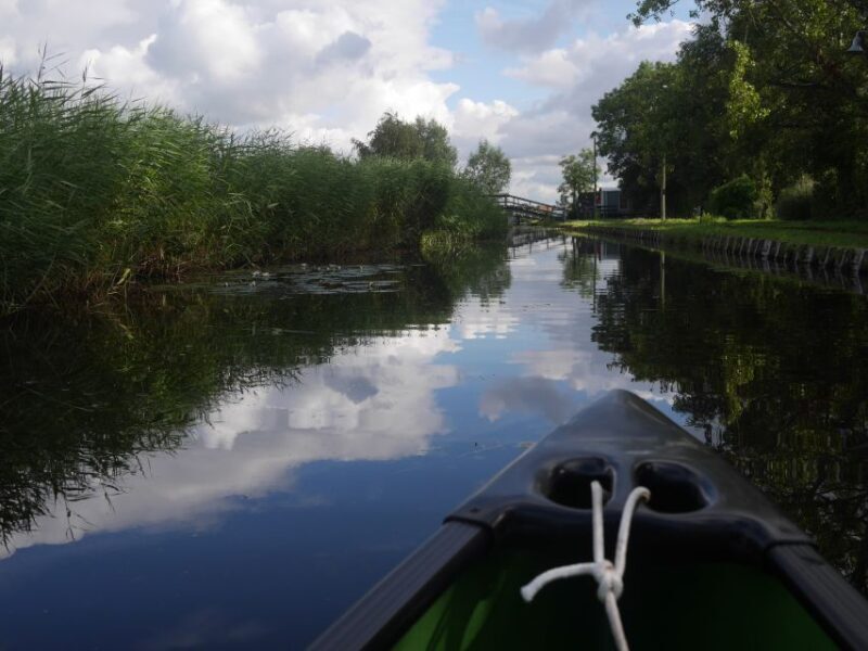 Amsterdam: 2-Hour Guided Canoe Trip - Who Will Love This Tour?