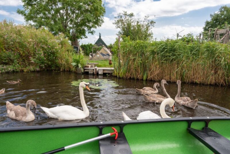 Amsterdam 5-Hour Guided Canoe Trip in the Wetlands - FAQs  