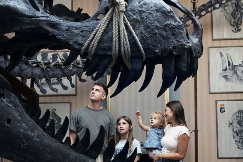 Amsterdam: Art Zoo Museum Entry Ticket in a Canal House - Breaking Down the Experience