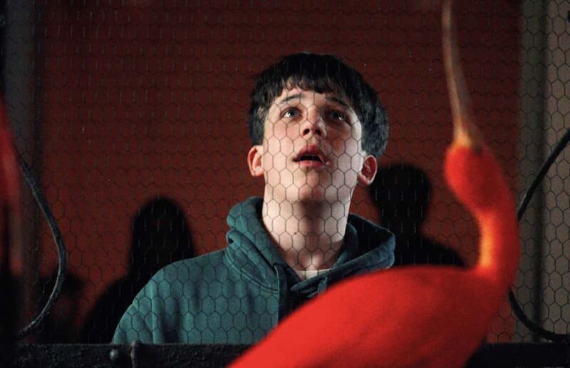 Amsterdam: Art Zoo Museum Entry Ticket in a Canal House - Is It Worth the Price?