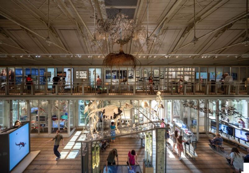 Amsterdam: ARTIS-Groote Museum Entry Ticket - Key Points