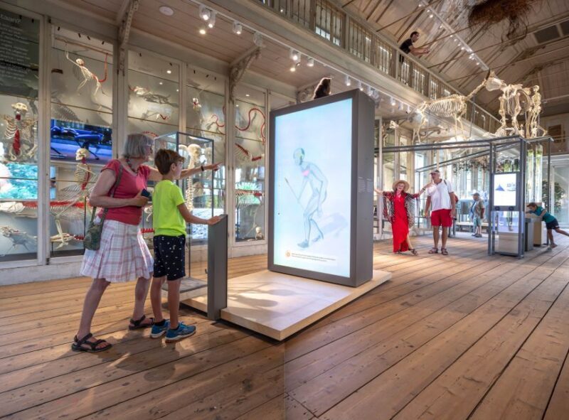 Amsterdam: ARTIS-Groote Museum Entry Ticket - The Sum Up