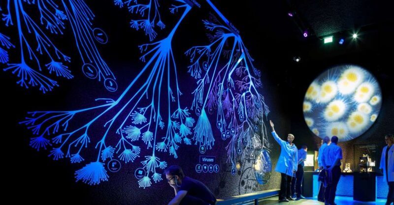 Amsterdam: ARTIS-Micropia Microbe Museum Entry Ticket - FAQ