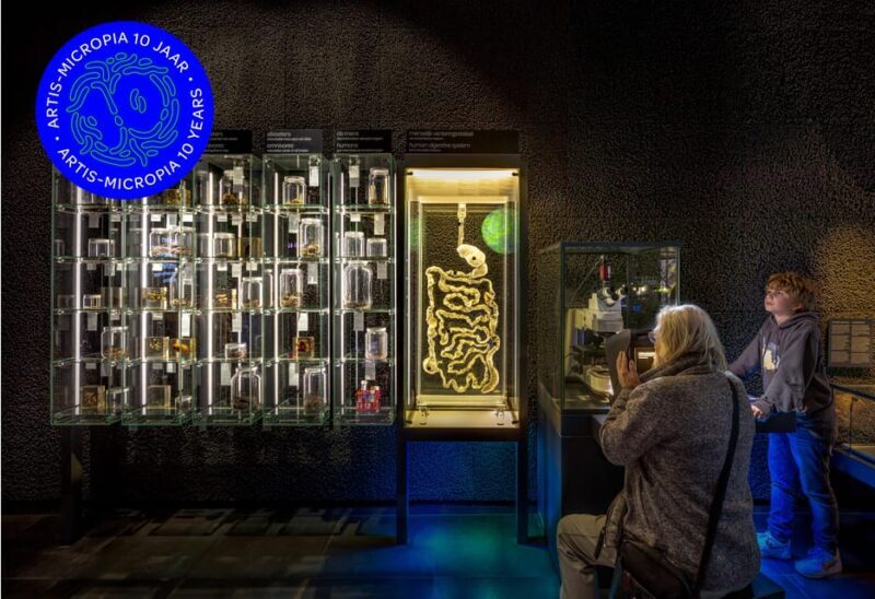 Amsterdam: Artis Royal Zoo & ARTIS-Micropia Combo Ticket - FAQ