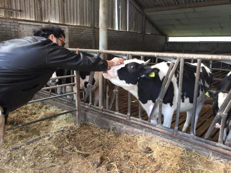 Amsterdam:: Bike Rental with Free Self-Guided Tour - Authentic Insights from Reviewers