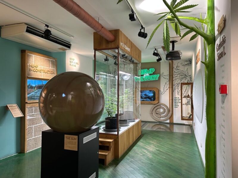 Amsterdam: Cannabis Museum Entry Ticket - Key Points