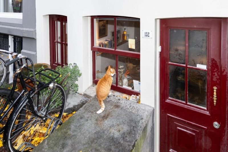 Amsterdam Central Walking Tour - Why You’ll Love This Amsterdam Walking Tour