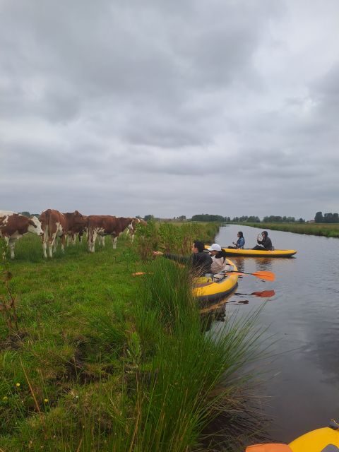 Amsterdam: Countryside Bike and Kayak Guided Tour - Why This Tour Is Worth It