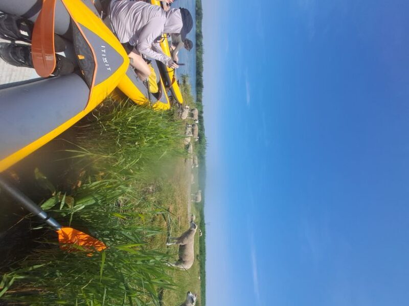 Amsterdam: Countryside Bike and Kayak Guided Tour - Final Thoughts